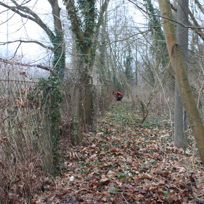 Eine neue Rutsche für den Bunne | Grünauer BC 1917